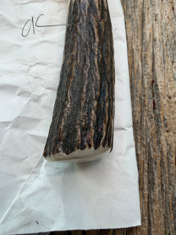 New Randall Knife Model 8-4 New Catalog Old Style Trout & Bird Carbon ...